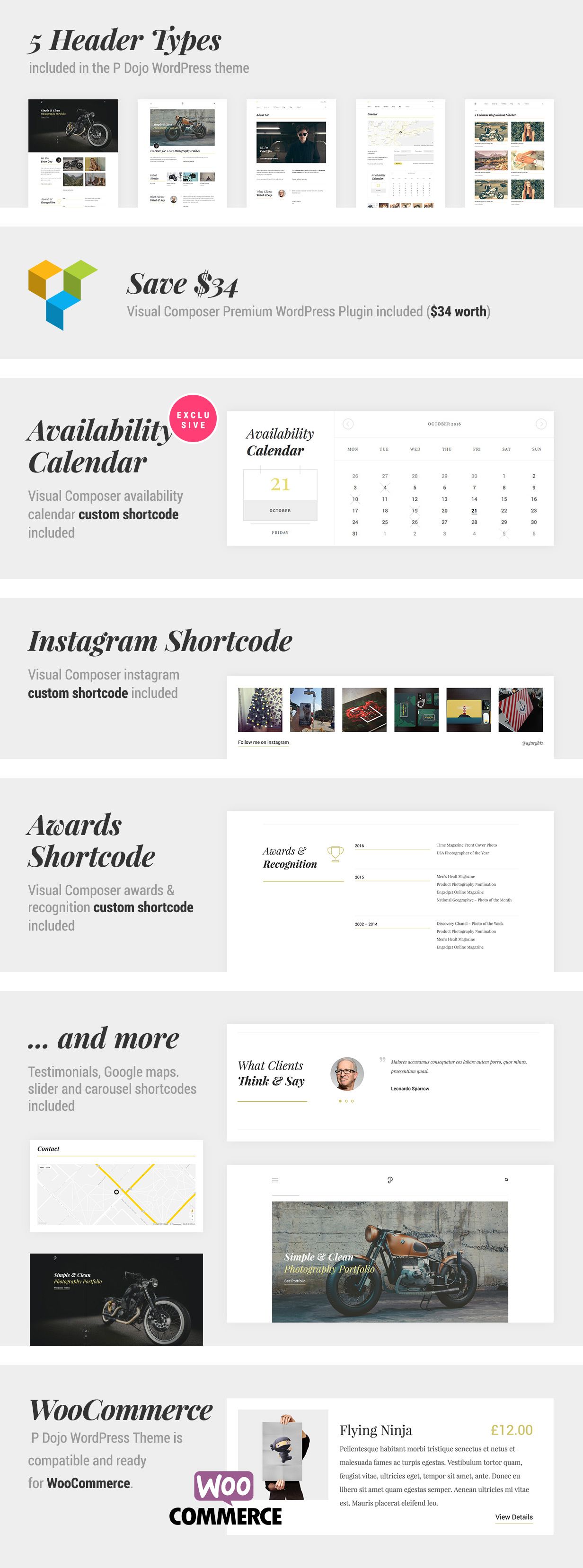P Dojo - Photography and Portfolio WordPress Theme - code.market