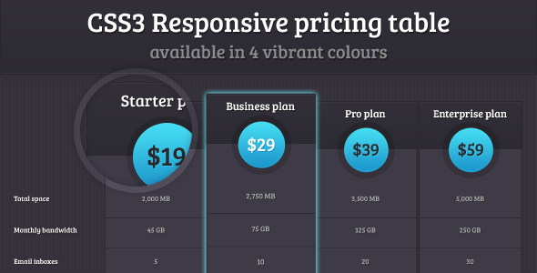 CSS3 Responsive pricing table - code.market