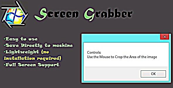 Screen Grabber - code.market