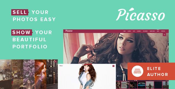 Picasso - Photography, Portfolio WordPress Theme - code.market