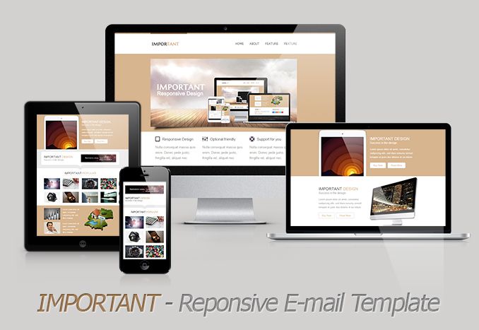 IMPORTANT-Responsive Email Template - code.market
